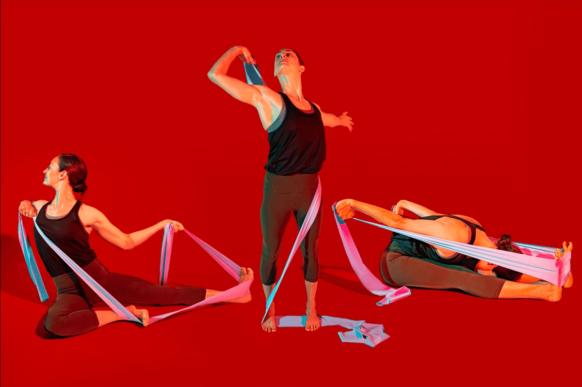 Progressing Ballet Technique (PBT)