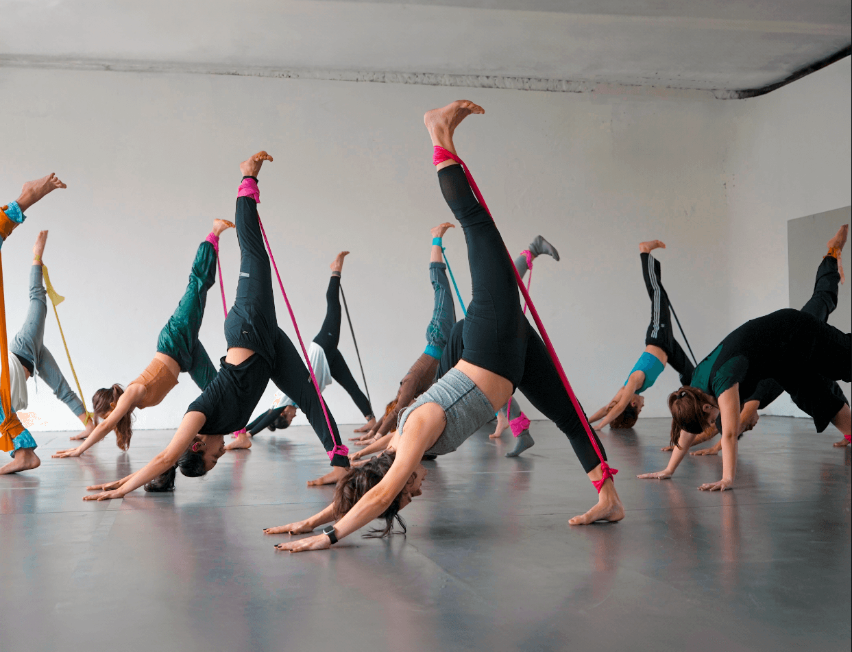 Progressing Ballet Technique (PBT)